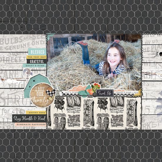 Farmhouse Garden Scrapbook Papercraft Collection