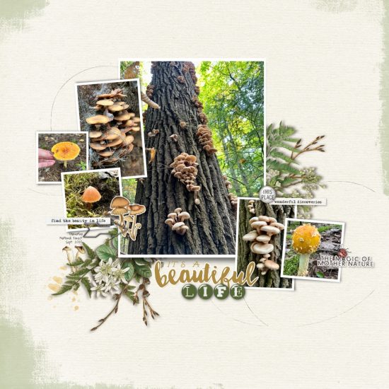 Template Mashup: Beautiful Life | Katie Pertiet Designs