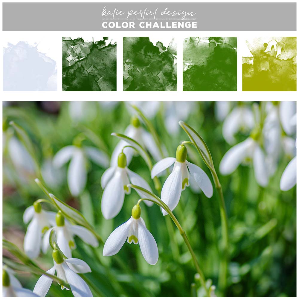 Color Challenge: Fresh ideas ahead | Katie Pertiet Designs