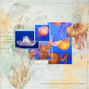 Blendable Layers 72 - Katie Pertiet Designs