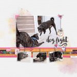 Golden Pretty Solids Paper Pack - Katie Pertiet Designs