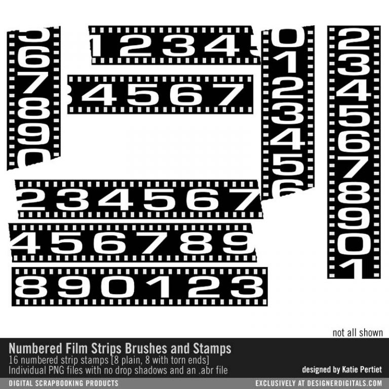 Numbered Film Strips Brushes and Stamps - Katie Pertiet Designs
