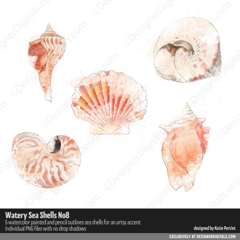 Watery Sea shells 08 - Katie Pertiet Designs