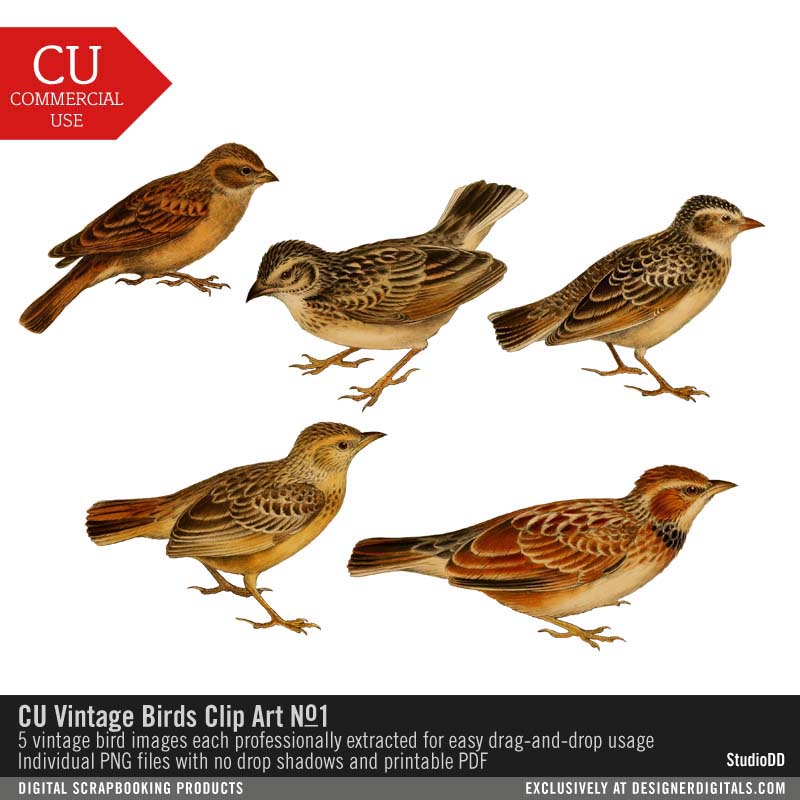 Vintage Bird Clip Art