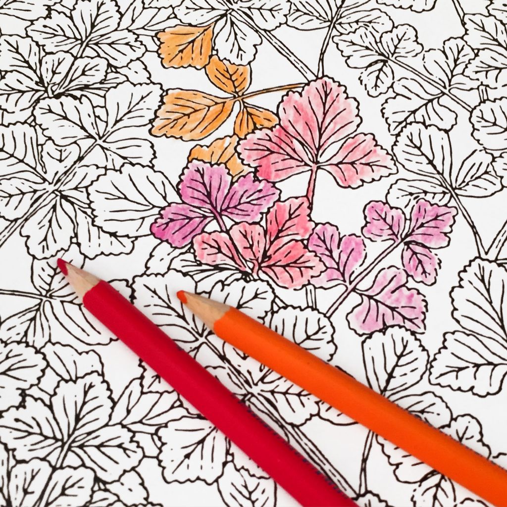 Printable Coloring Book Page Overlays 01 - Katie Pertiet Designs