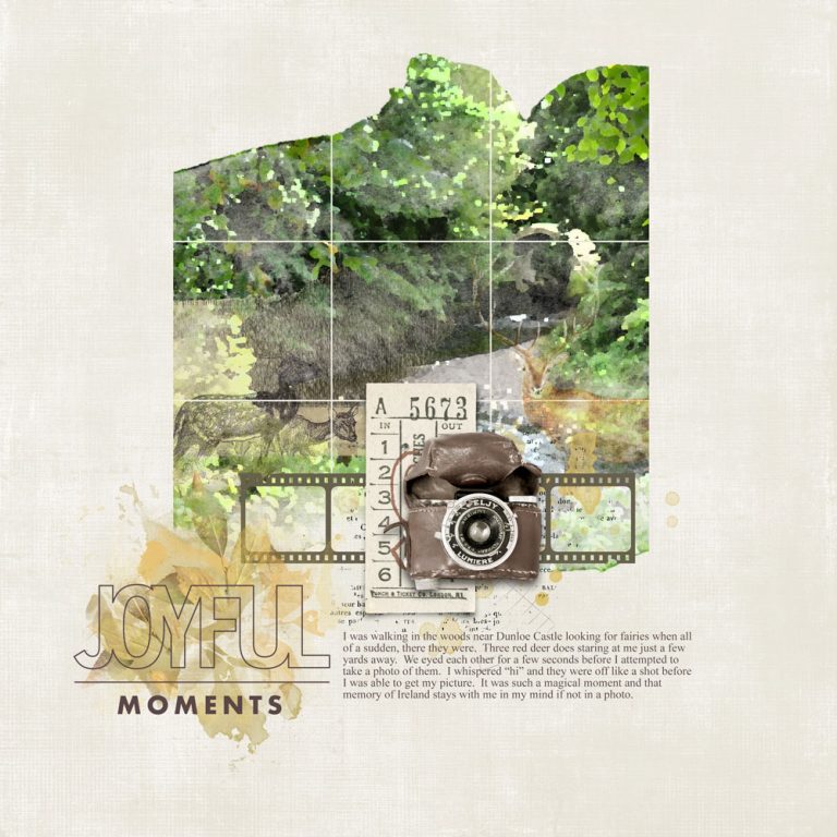 Camera Clusters and Layers - Katie Pertiet Designs