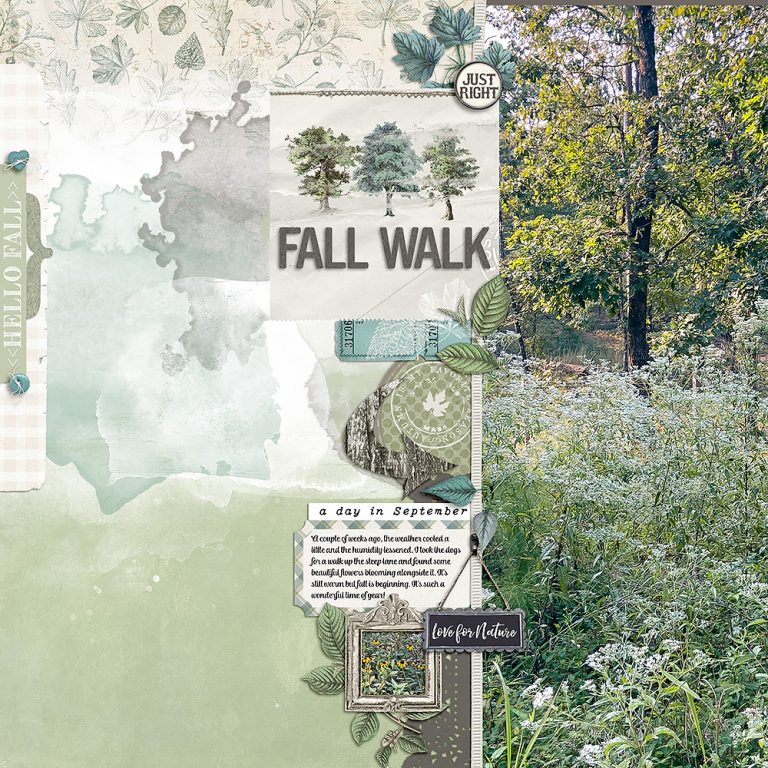 Nature Study Scrapbook Kit - Katie Pertiet Designs