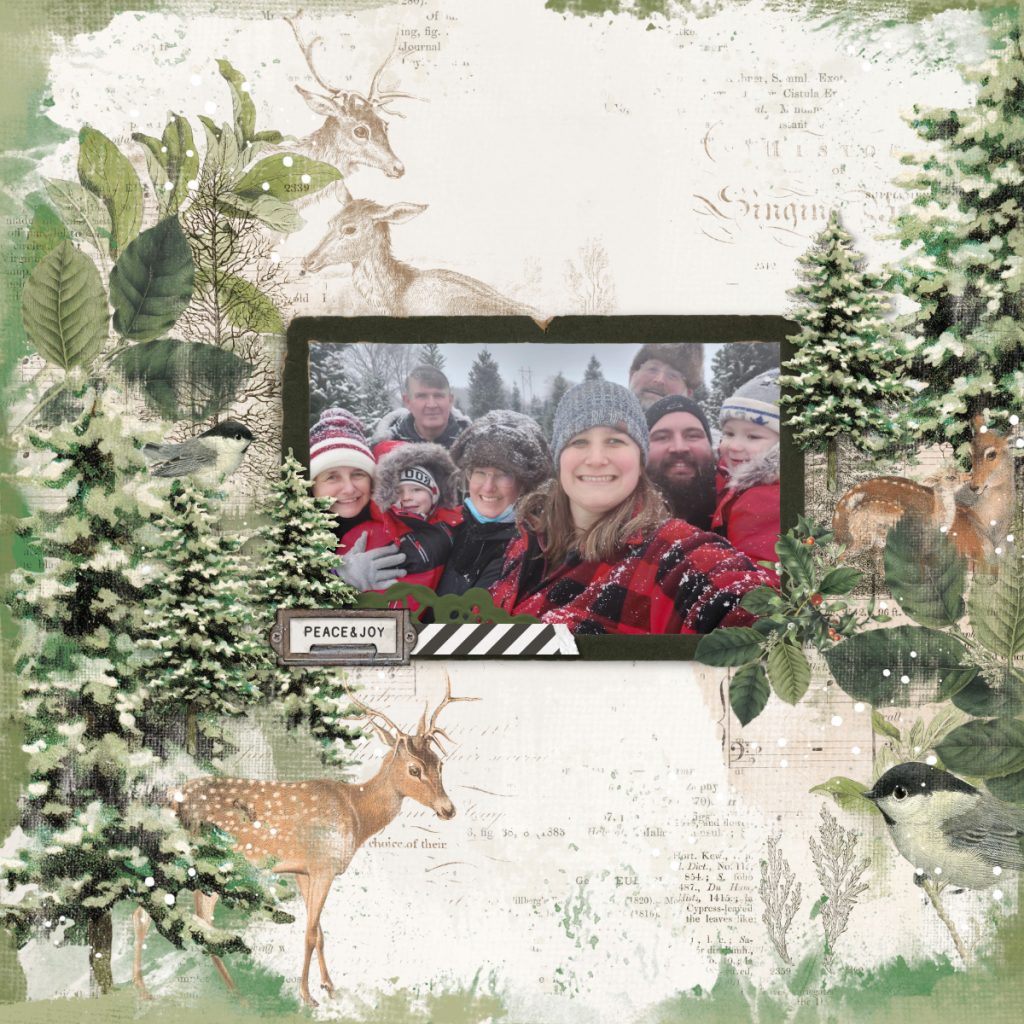 Rustic Christmas Paper Pack 02 - Katie Pertiet Designs