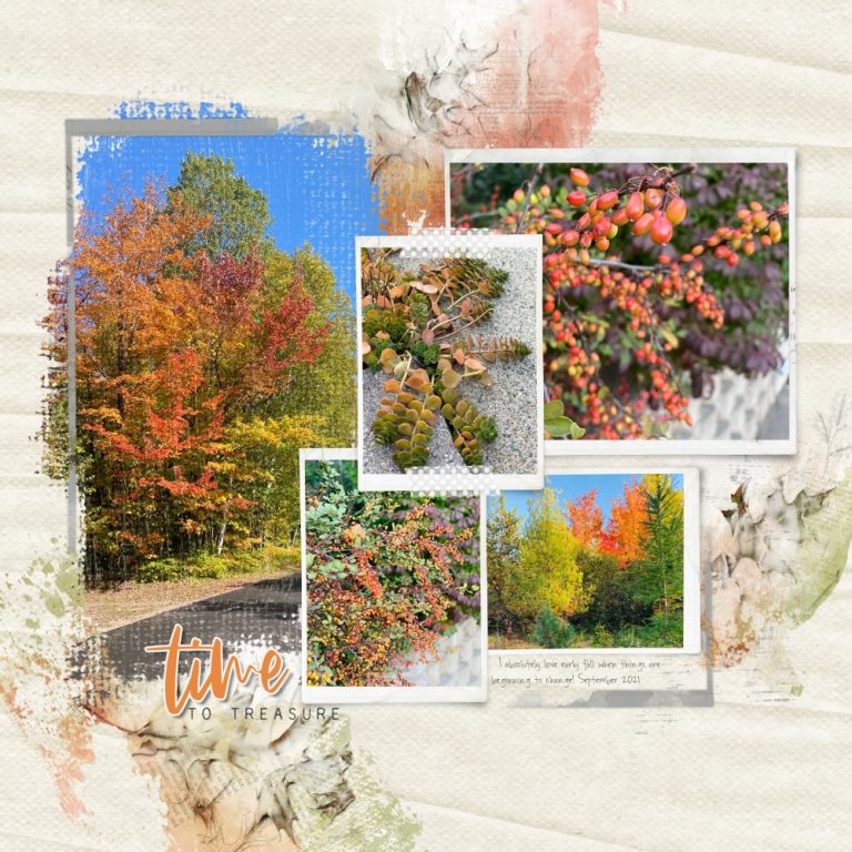 Scattered Pictures Vol. 06 Layered Template 01 - Katie Pertiet Designs