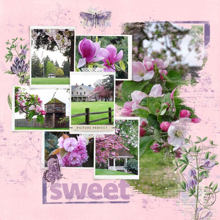 Scattered Pictures Vol.06 Layered Template 10 - Katie Pertiet Designs