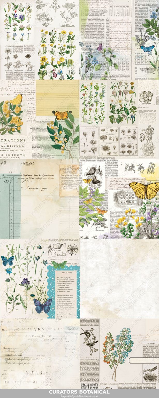 Curators Botanical Scrapbooking Bundle - Katie Pertiet Designs