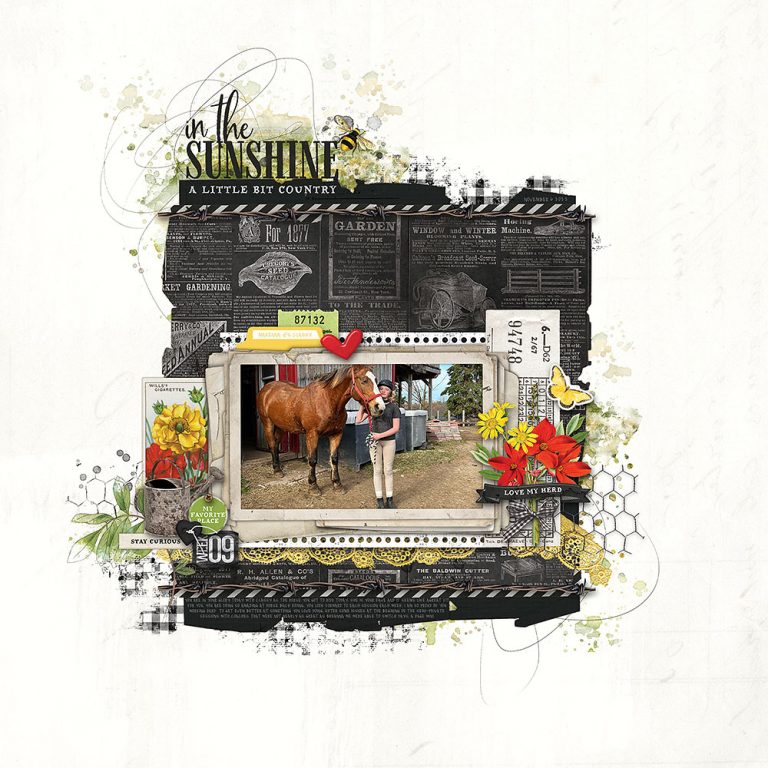 Vintage Artistry Countryside Remnants 01 - Katie Pertiet Designs