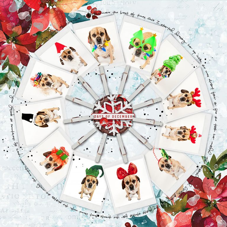 Days of December Recap Layered Template 01 - Katie Pertiet Designs