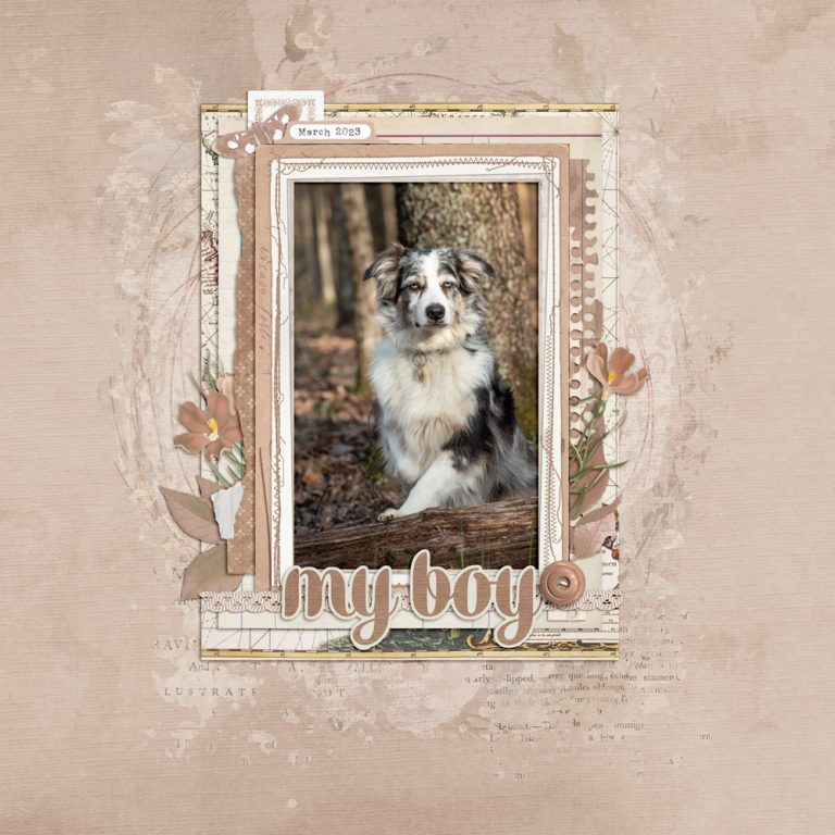 Color Swatch Toast Collage Sheets - Katie Pertiet Designs