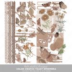 Color Swatch Toast Scrapbooking Bundle - Katie Pertiet Designs