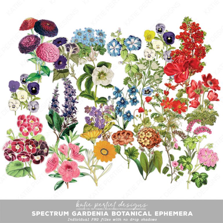 Spectrum | Gardenia Botanical Ephemera - Katie Pertiet Designs
