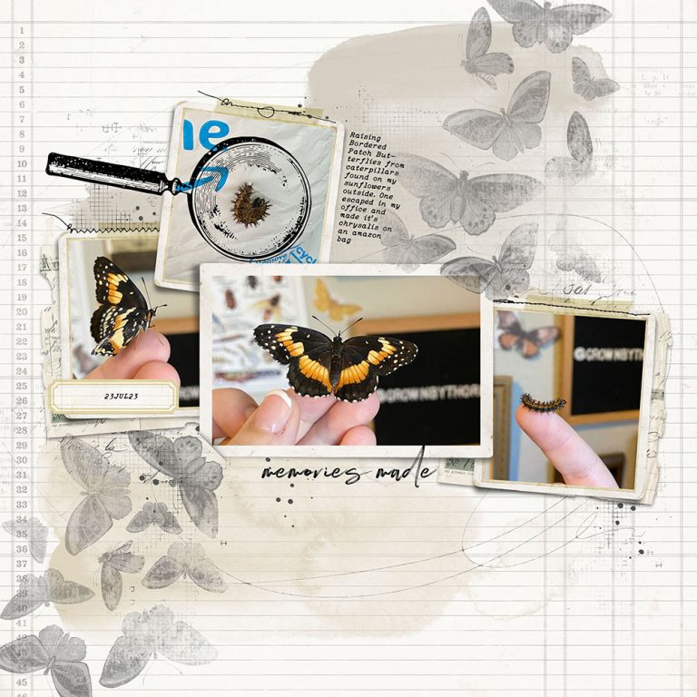 Vintage Artistry Nature Study Scrapbooking Bundle - Katie Pertiet Designs