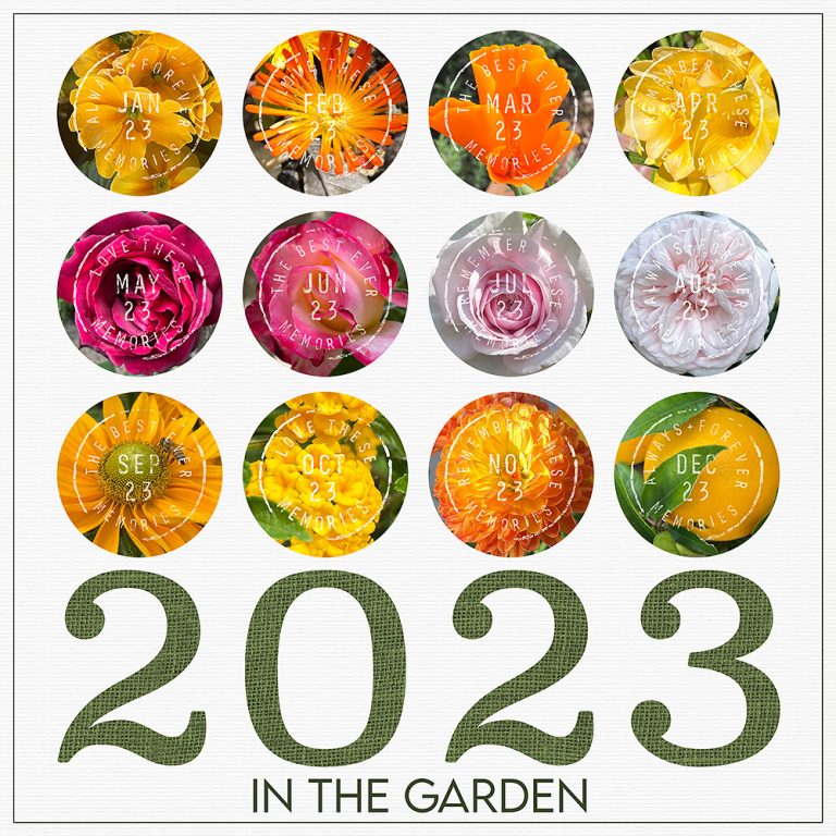 Year to Remember 2023 Layered Template - Katie Pertiet Designs