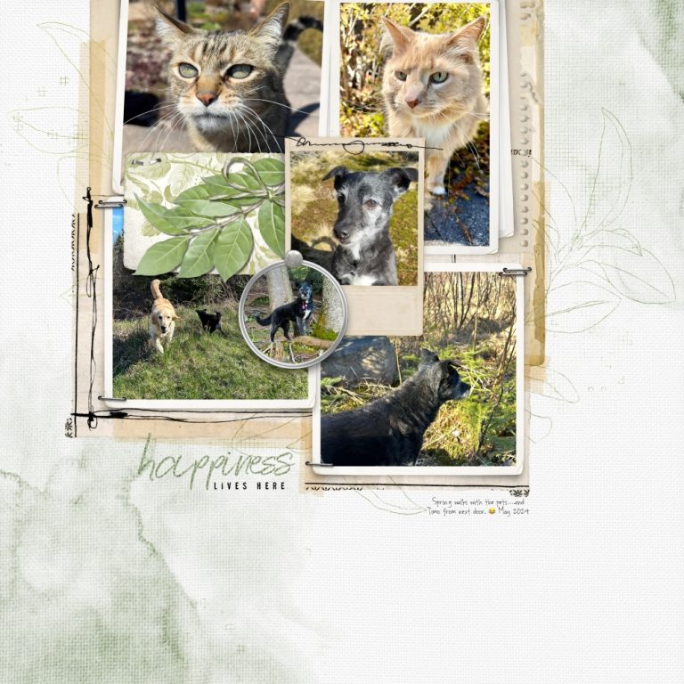Taped Together Multiphoto Layered Template 06 - Katie Pertiet Designs