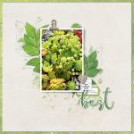 Summer Porch Botanical Transfers 02 - Katie Pertiet Designs