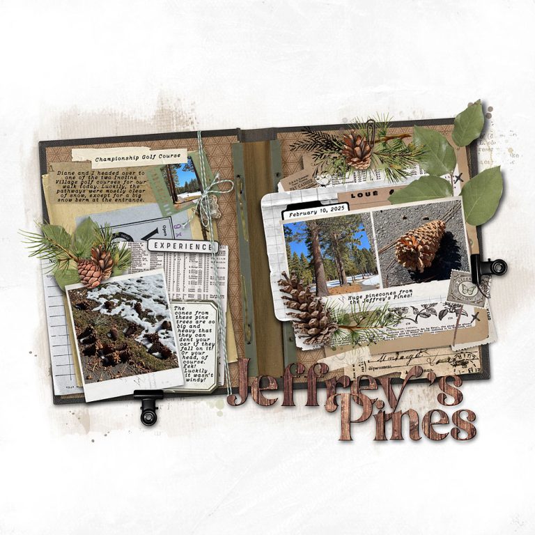 Naturalists Notebook Layered Template 03 - Katie Pertiet Designs