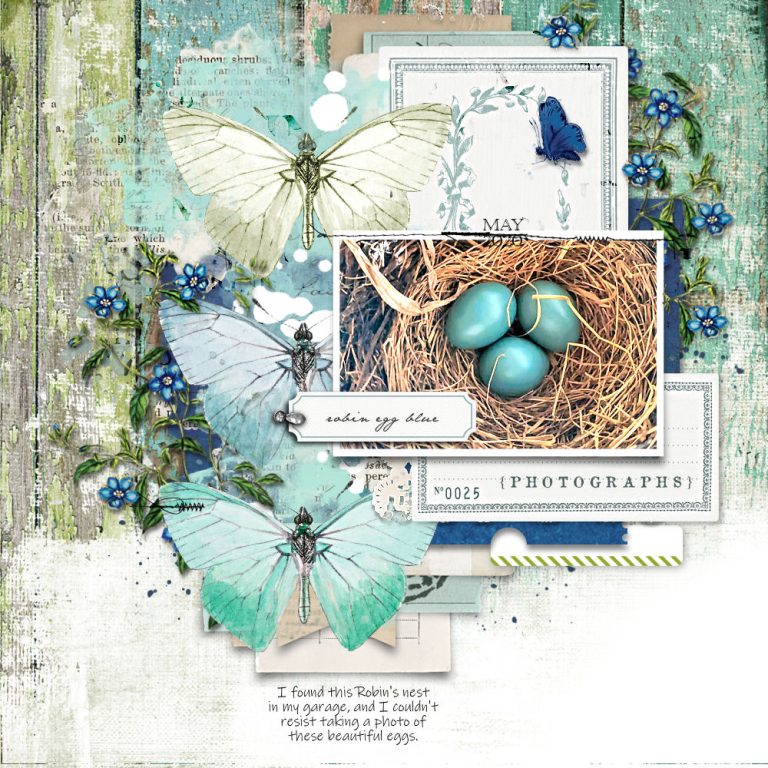 Mixed Woods Paper Pack 01 - Katie Pertiet Designs