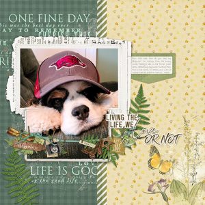 Big Picture Vol. 03 Layered Template Bundle - Katie Pertiet Designs