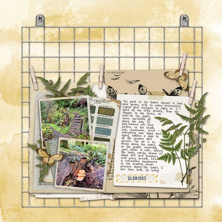 Clipped Grids Layered Template 09 - Katie Pertiet Designs