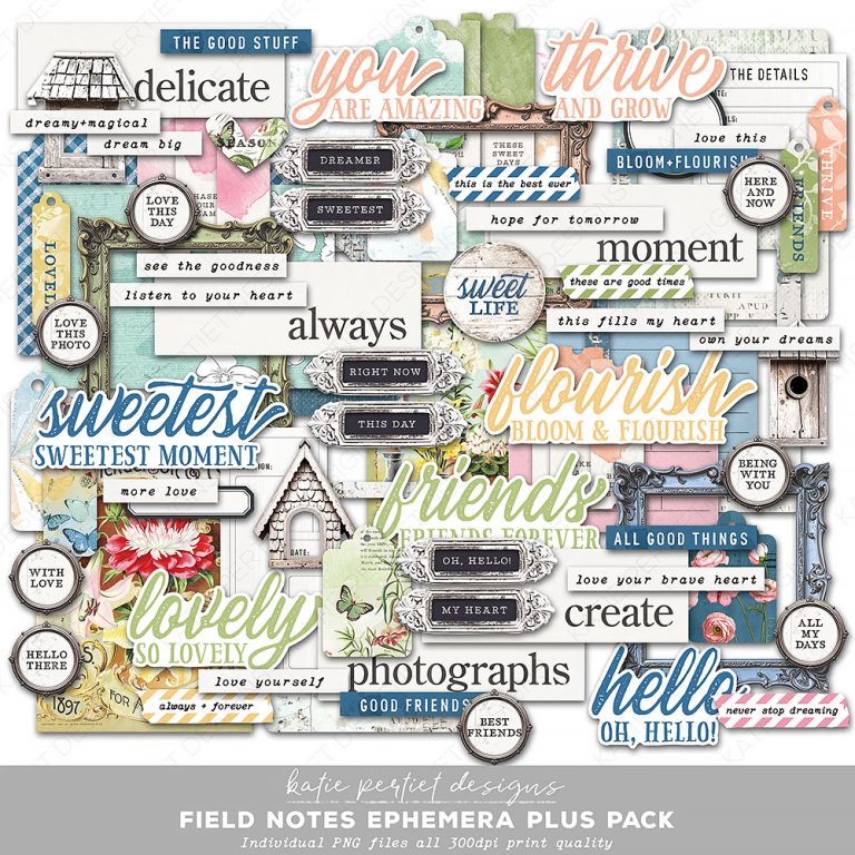 Field Notes Ephemera Plus Pack - Katie Pertiet Designs